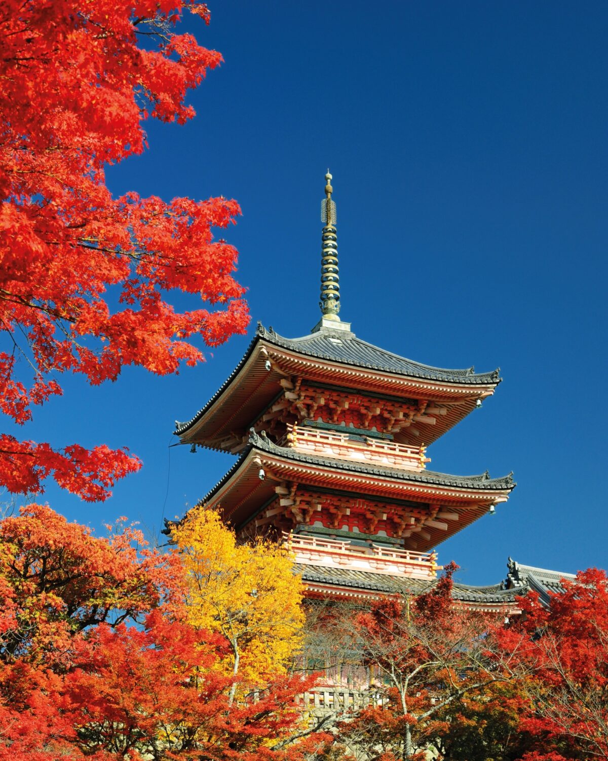 Zipangu Revisited: Japan’s Rise and Retreat in the Global Gold Market | Alchemist | LBMA